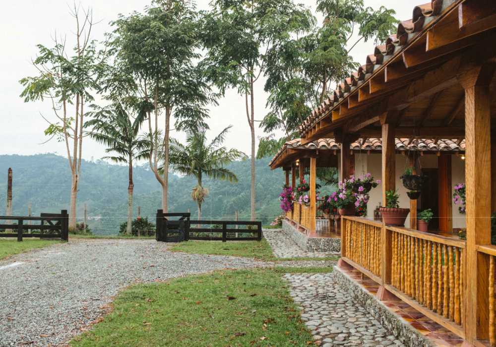 Willoughby's Coffee & Tea: Colombia Lomaverde Chiroso Natural