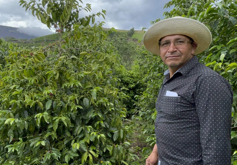 Willoughby's Coffee & Tea: Ecuador Finca Arashi Typica Mejorado