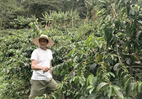 Colombia La Pradera Typica Natural