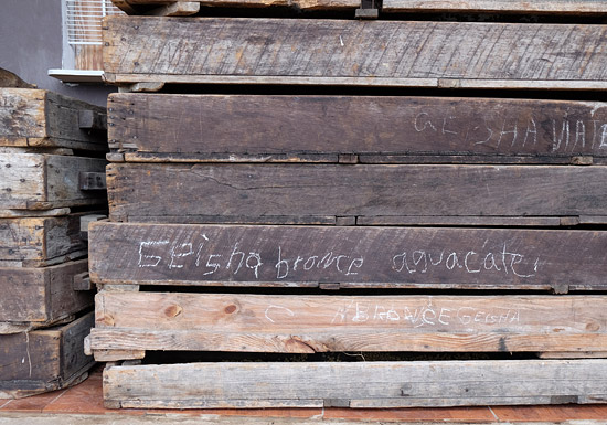 Panama Elida Estate Geisha Natural