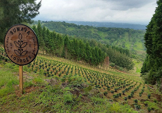 Costa Rica Sumava Reposado